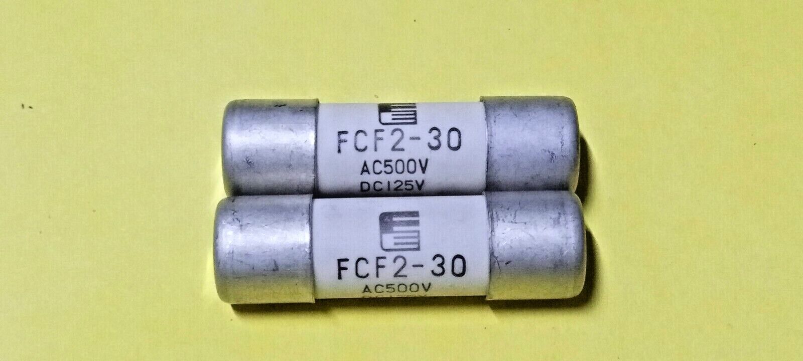 FUJI ELECTRIC FCF2-30 Ceramic Fuse AC 500V DC 125V 30A 32-I549 ...